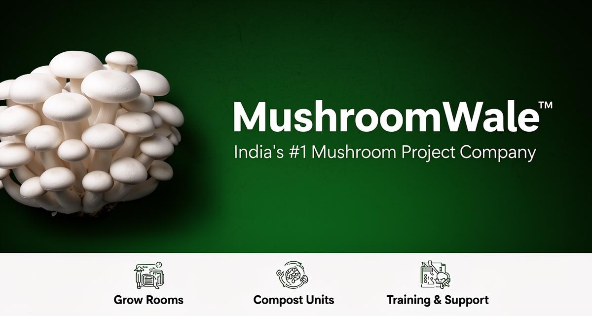 Mushroom Projects | Turnkey EPC Setup in India | Mushroom...